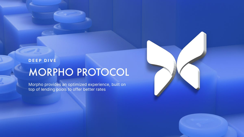 Morpho 投资理念